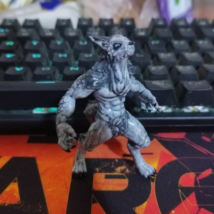 3D Printable werewolf 4 poses by Juacolin Alejandro Villarroel Cornejos