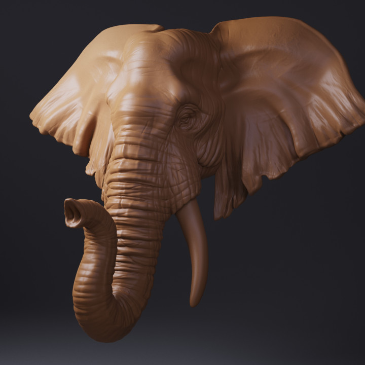 3D Printable Elephant Head by Art of V