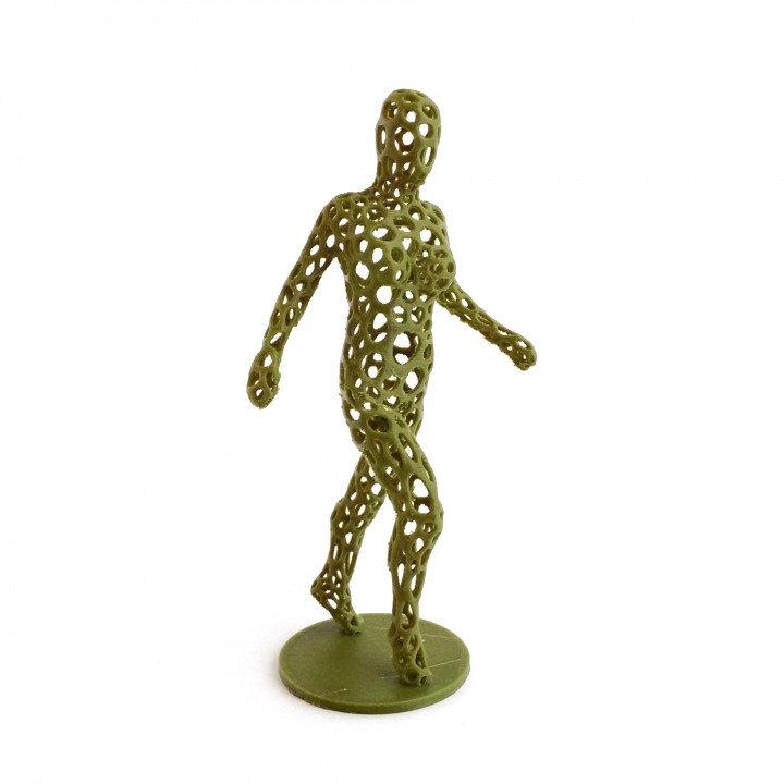 3D Printable human body by and CRAFT 3D