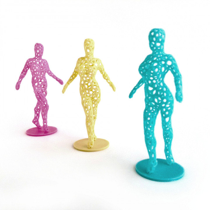 3D Printable human body by and CRAFT 3D