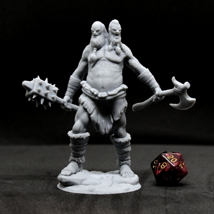 3D Printable Ettin by clynche art