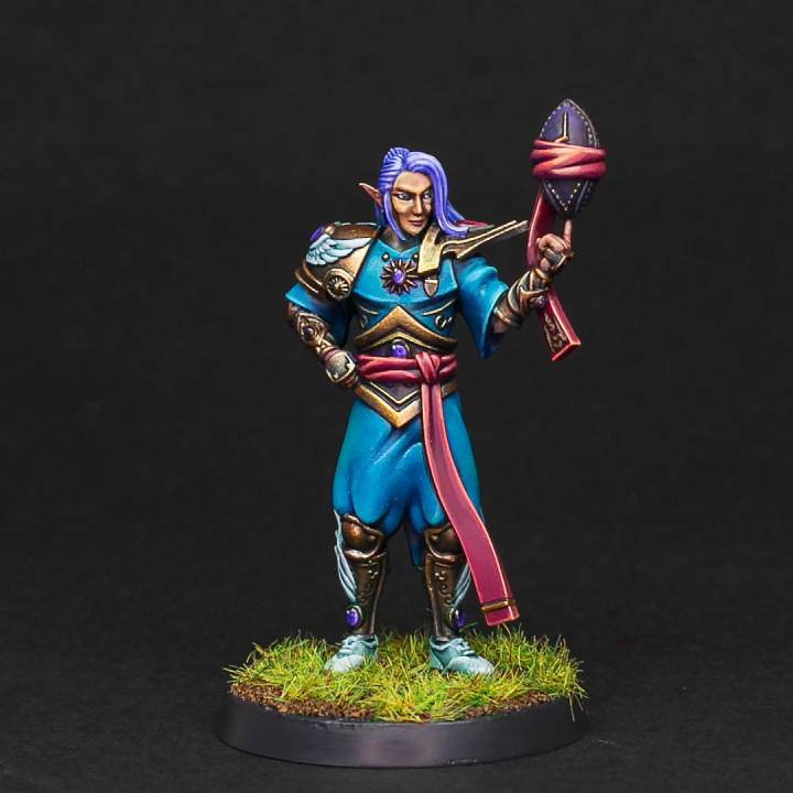 3D Print of High elf fantasy football team (elves) by Charlie J