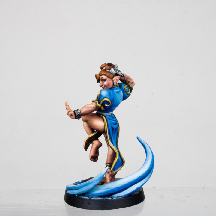 3D Printable [PDF Only] (Painting Guide) Arilie, the Halfling Monk by Bite the Bullet