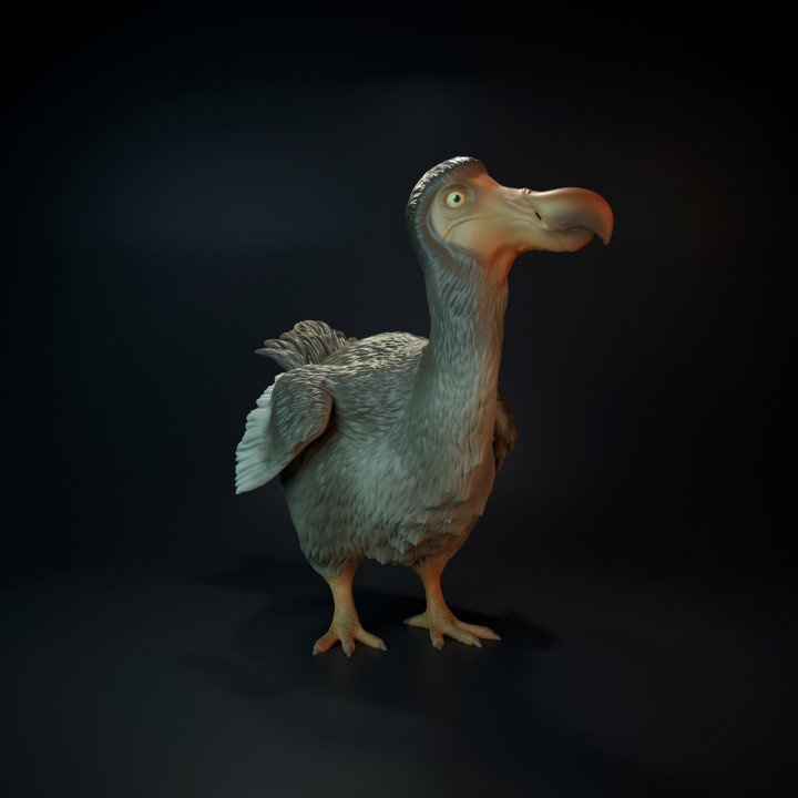 3D Printable Dodo standing prehistoric bird by Dino and Dog
