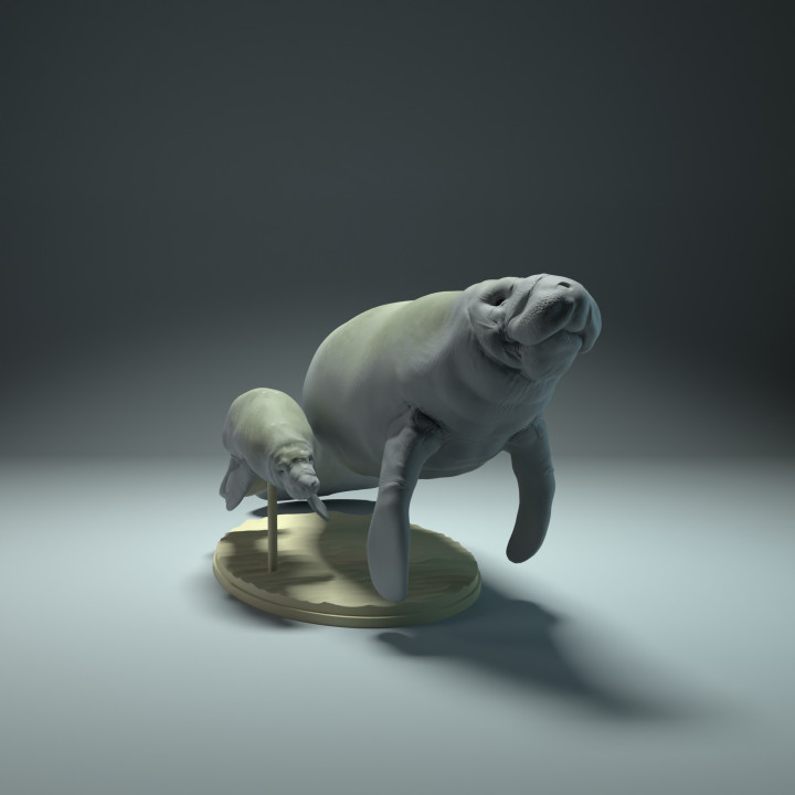 3D Printable Manatee and Calf by Animal Den Miniatures
