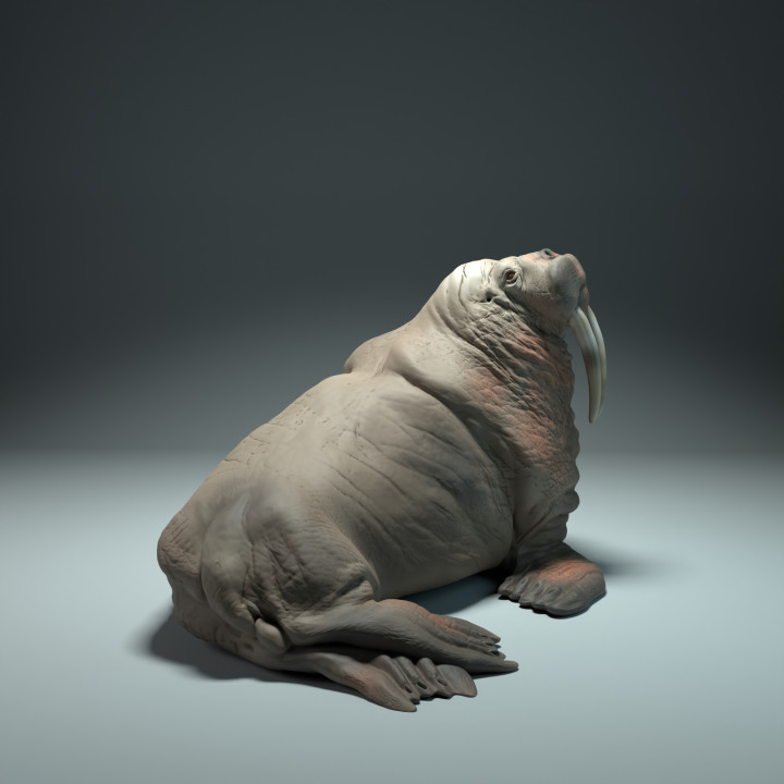 3D Printable Walrus by Animal Den Miniatures