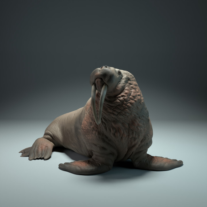 3D Printable Walrus by Animal Den Miniatures