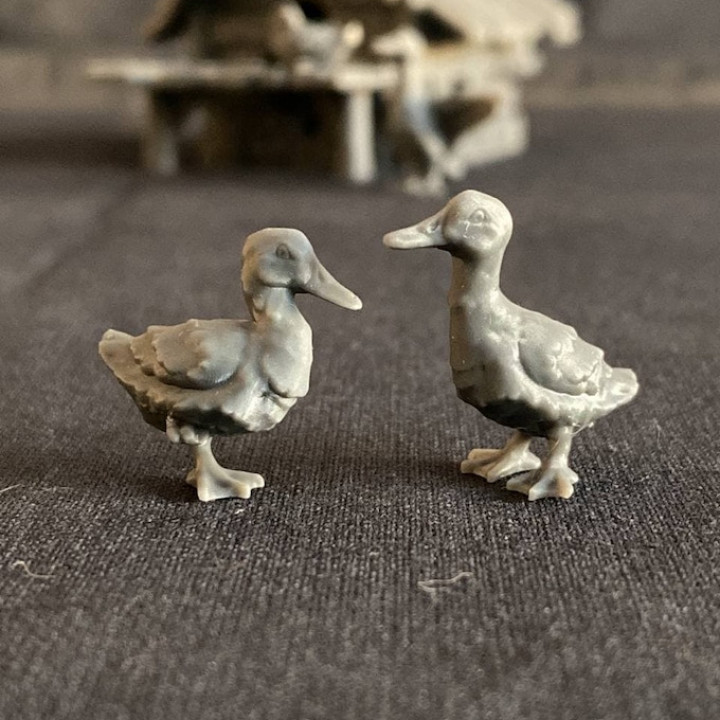 3D Printable Duck pack by StoneAxe Miniatures