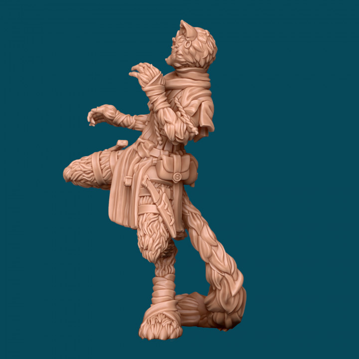 3D Printable Arrissa, a kitty monk by Awkward Penguin's Minis