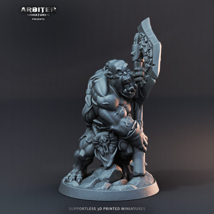 3D Printable Arbiter Miniatures Kickstarter 2: Desolate Plains by ...