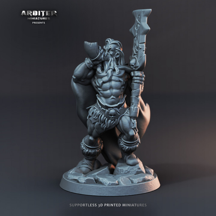 3D Printable Arbiter Miniatures Kickstarter 3: Heroes of the Realm by ...