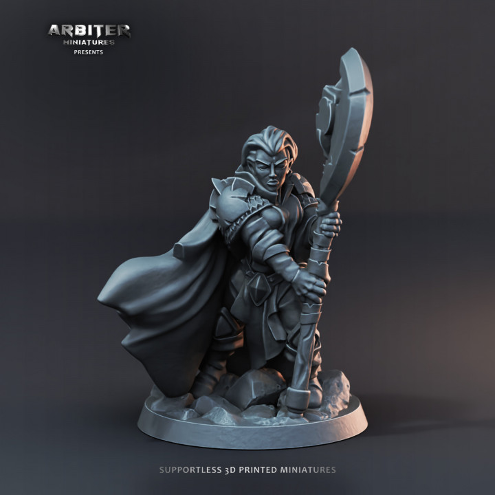 3D Printable Arbiter Miniatures Kickstarter 3: Heroes of the Realm by ...