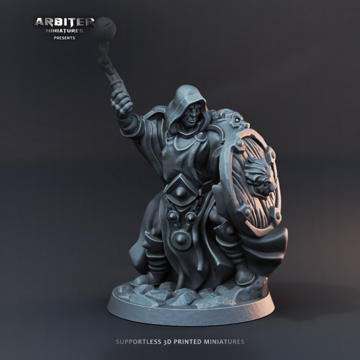3D Printable Arbiter Miniatures Kickstarter 3: Heroes of the Realm by ...