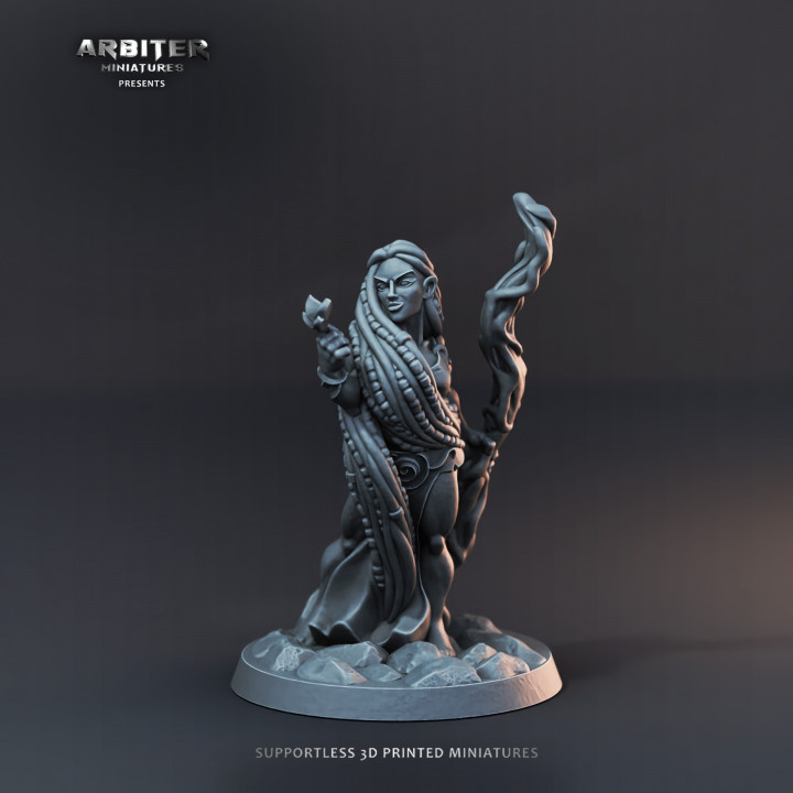 3D Printable Arbiter Miniatures Kickstarter 3: Heroes of the Realm by ...