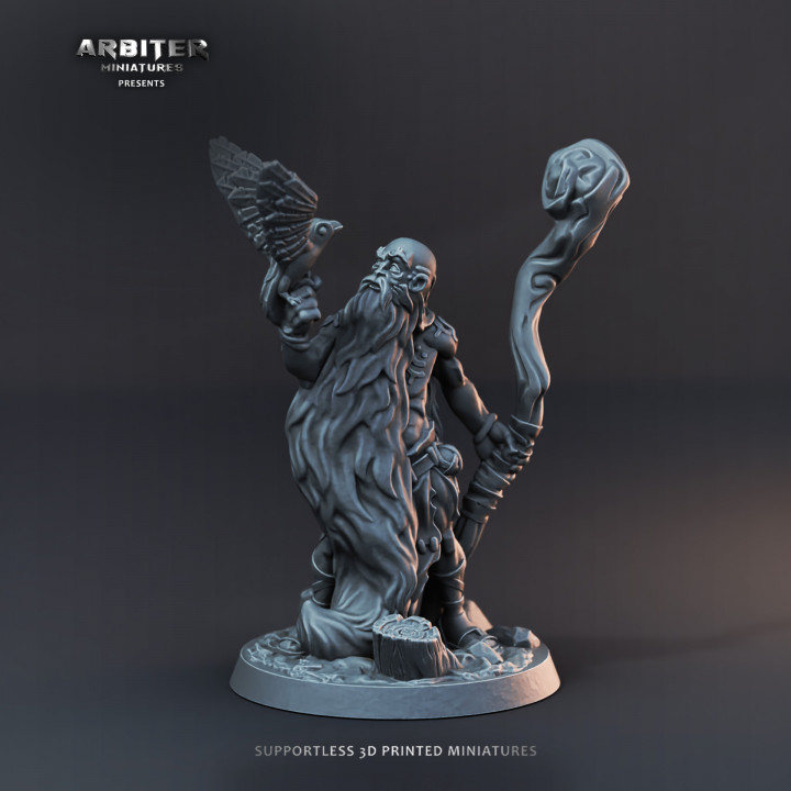 3D Printable Arbiter Miniatures Kickstarter 3: Heroes of the Realm by ...