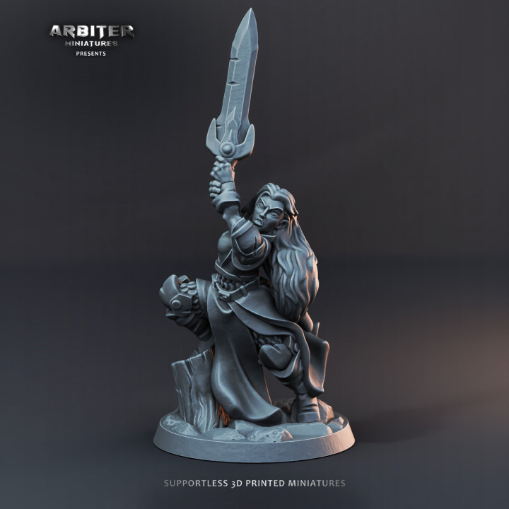 3D Printable Arbiter Miniatures Kickstarter 3: Heroes of the Realm by ...