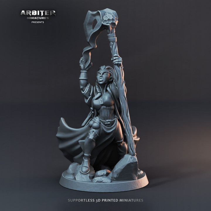 3D Printable Arbiter Miniatures Kickstarter 3: Heroes of the Realm by ...