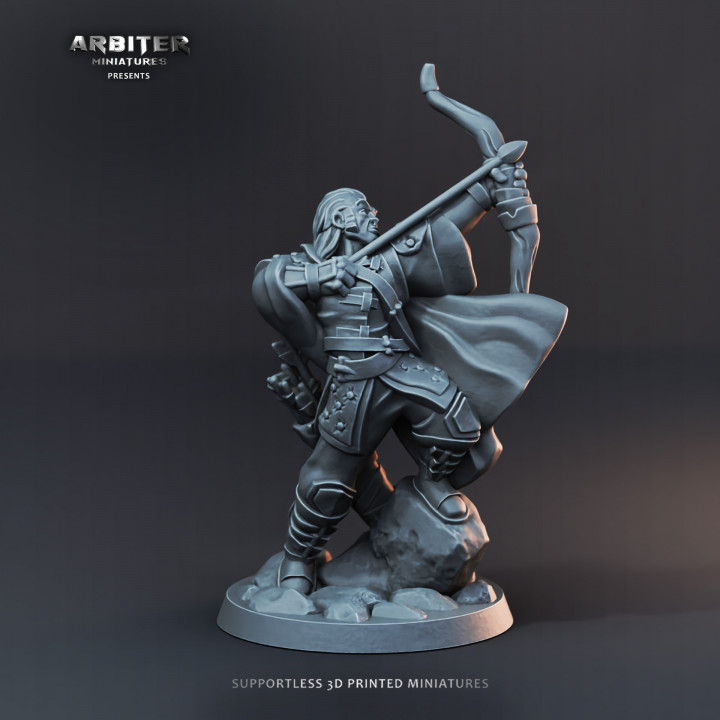3D Printable Arbiter Miniatures Kickstarter 3: Heroes of the Realm by ...