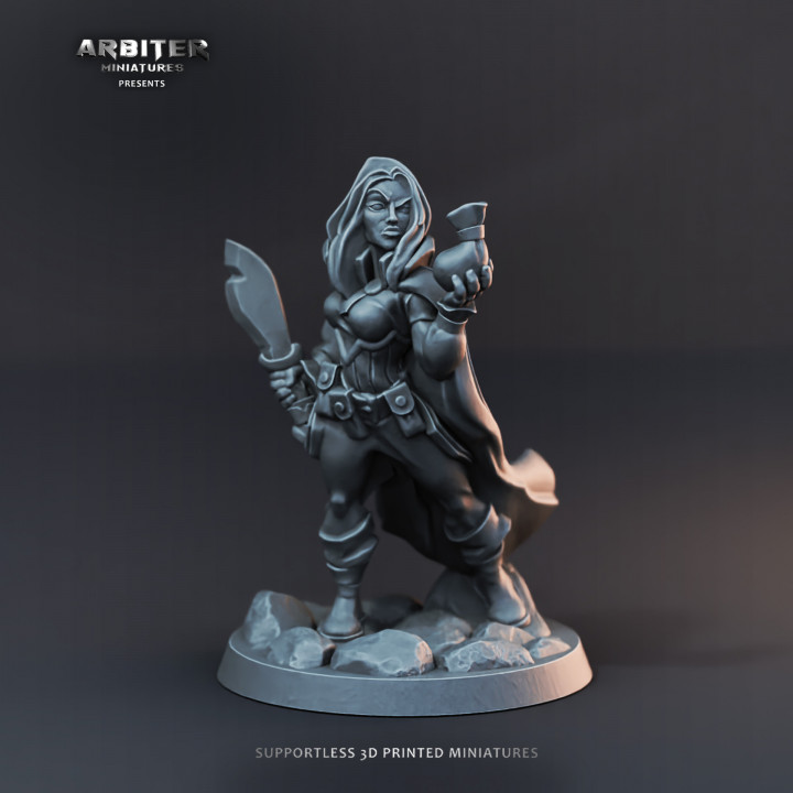 3D Printable Arbiter Miniatures Kickstarter 3: Heroes of the Realm by ...