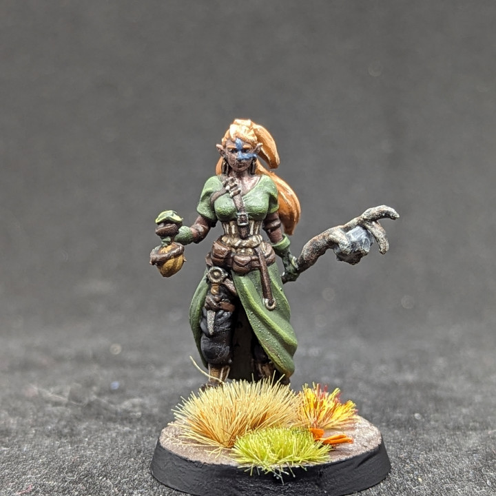 3D Print of Elven Earth Druid Potion / Female Nature Wizard / Forest ...