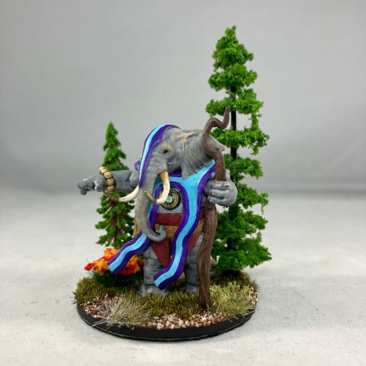 3D Print of Loxodon Druid - Tabletop Miniature by BalasarGinglymus