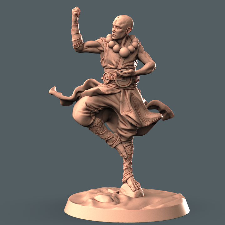 3D Printable Male Monk Fighter by Imp3dsion
