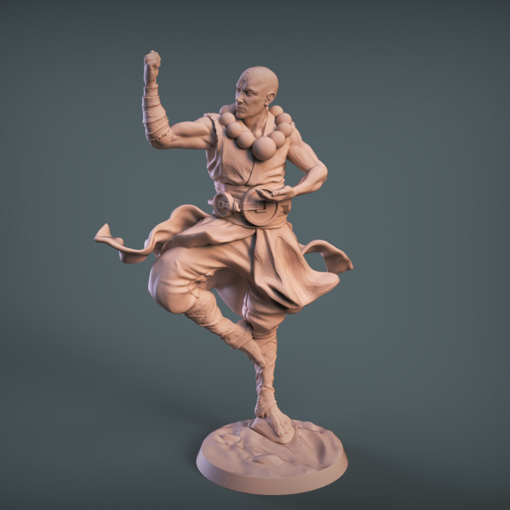 3D Printable Male Monk Fighter by Imp3dsion