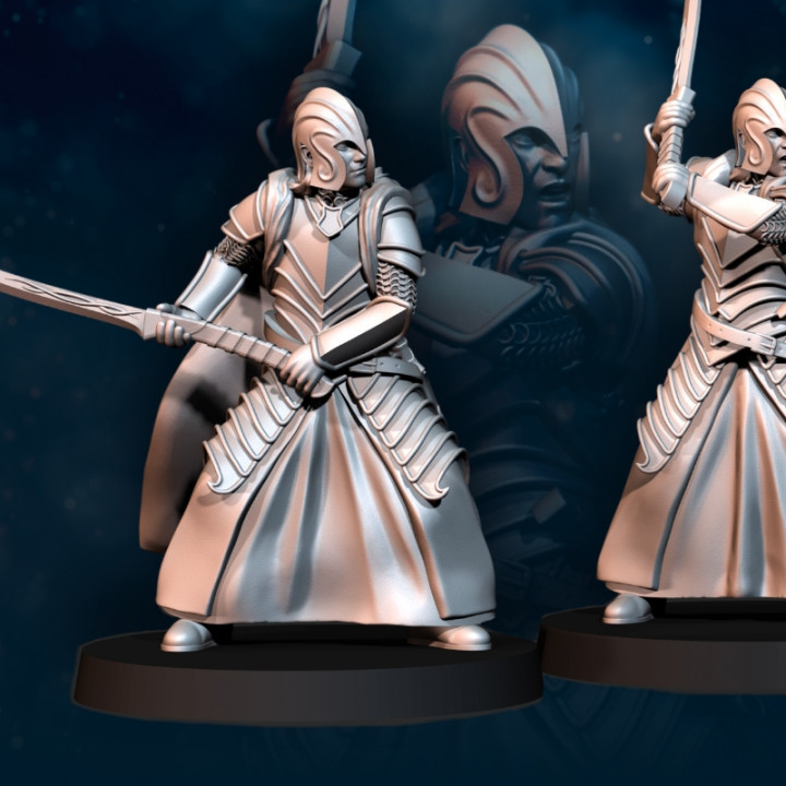 3D Printable 6x Bloody Elf Swordsman - Crest included | Bloody Elves ...