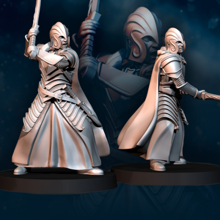 3D Printable 6x Bloody Elf Swordsman - Crest included | Bloody Elves ...