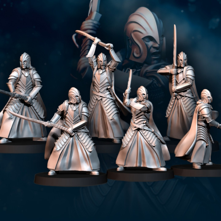 3D Printable 6x Bloody Elf Swordsman - Crest included | Bloody Elves ...