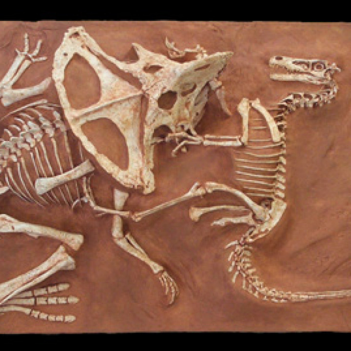 3D Printable Dinosaur Fight Fossil by Michael Moore