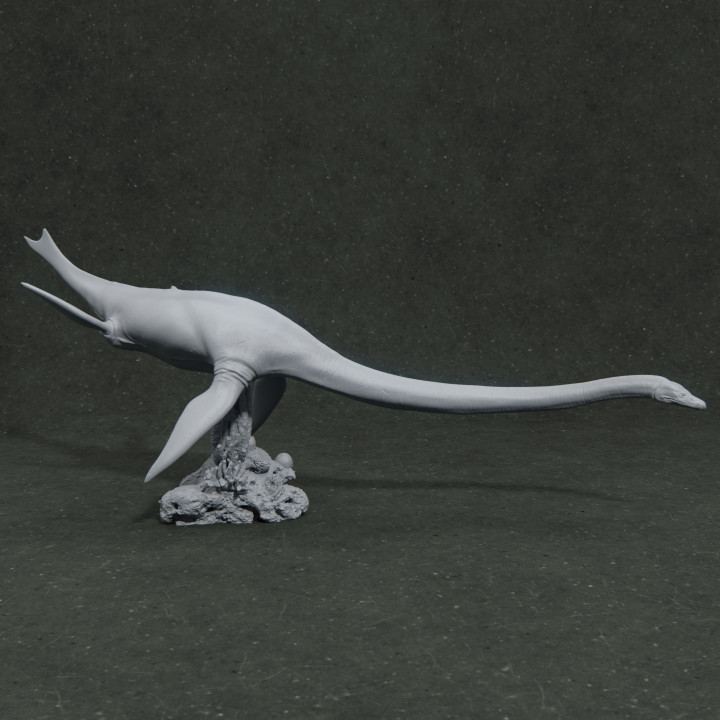 3D Printable Elasmosaurus swimming 1-35 scale pre-supported marine ...