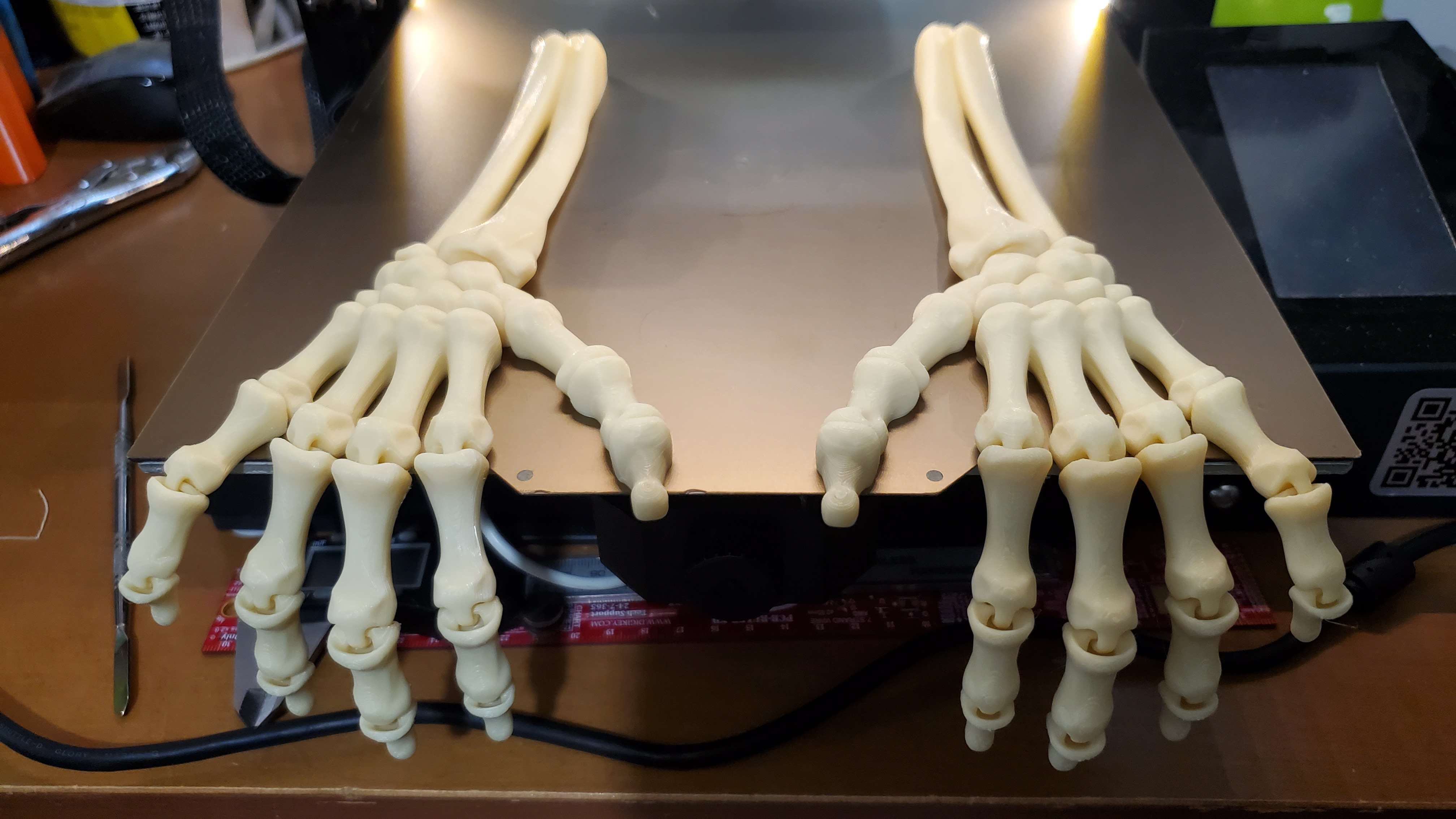 3D Printable FLEXI PRINT-IN-PLACE SKELETON HAND by Flexi Factory