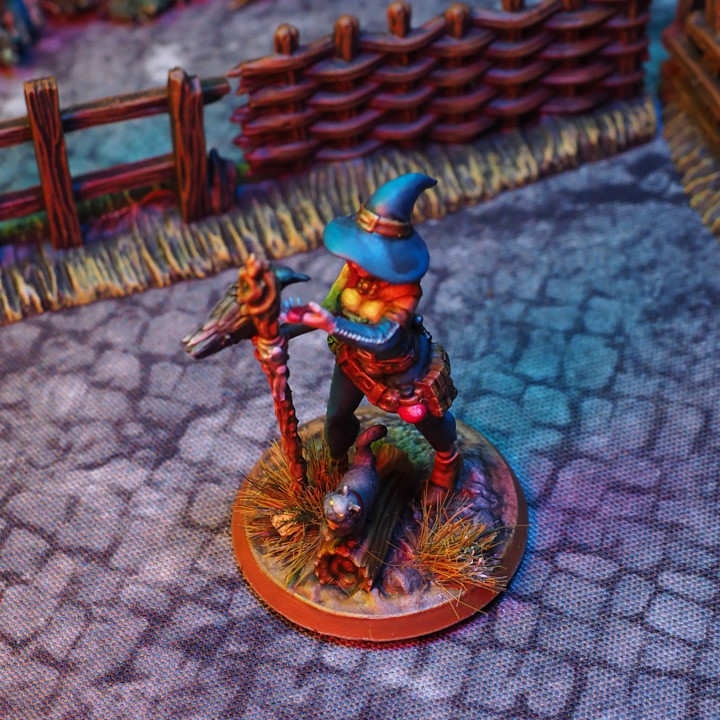 3D Printable Witches by Foxy Models