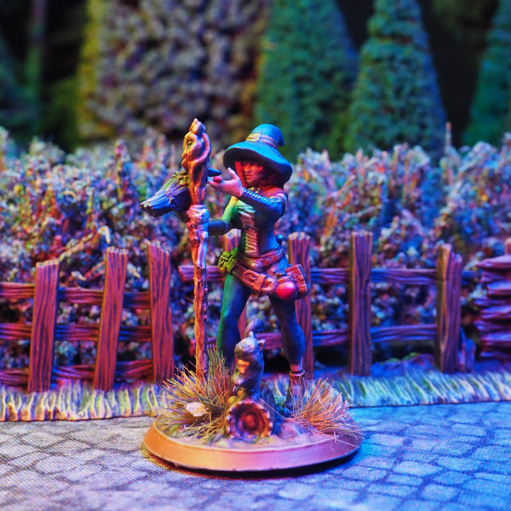 3D Printable Witches by Foxy Models