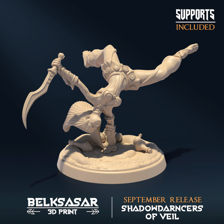 3D Printable Shadowdancer of Veil B All Variant by Belksasar