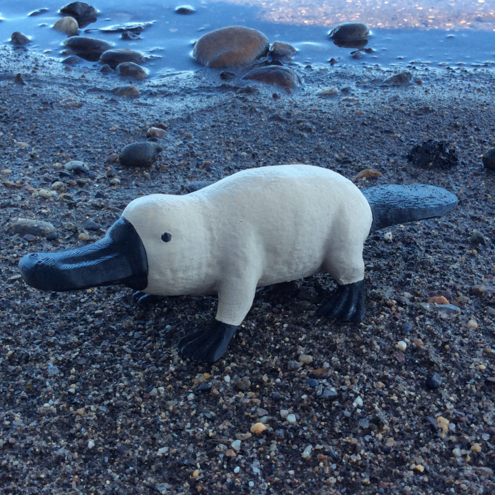 3D Printable Platypus by Star Labs 3D, LLC