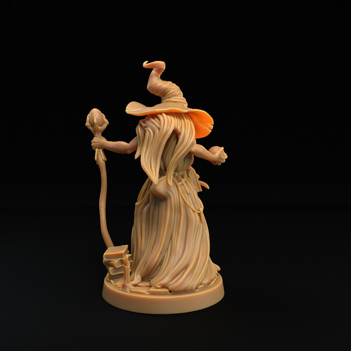 3D Printable Hair Wizards | PRESUPPORTED | Halloween Weird World by The ...