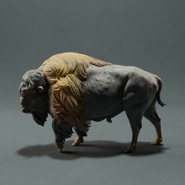 3D Printable American Bison by Animal Den Miniatures