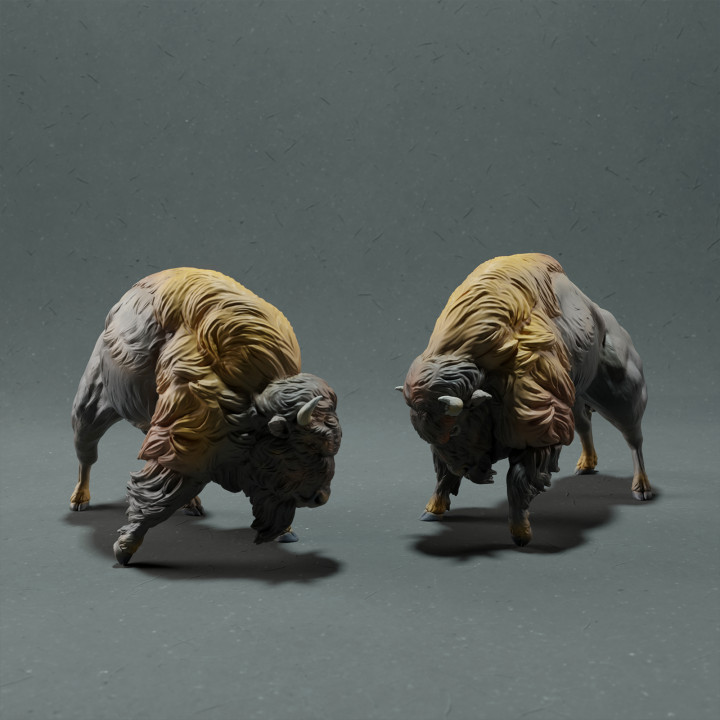 3D Printable American Bison - Fight by Animal Den Miniatures