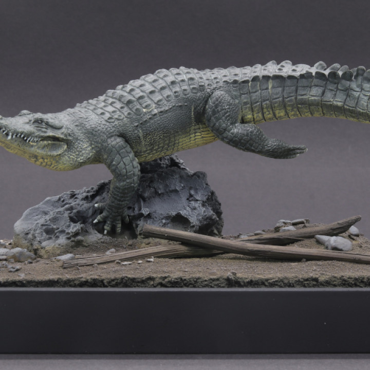 3D Print of American Alligator - Swim by michaelschroder