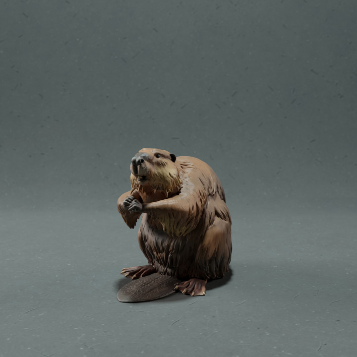 3D Printable American Beaver by Animal Den Miniatures