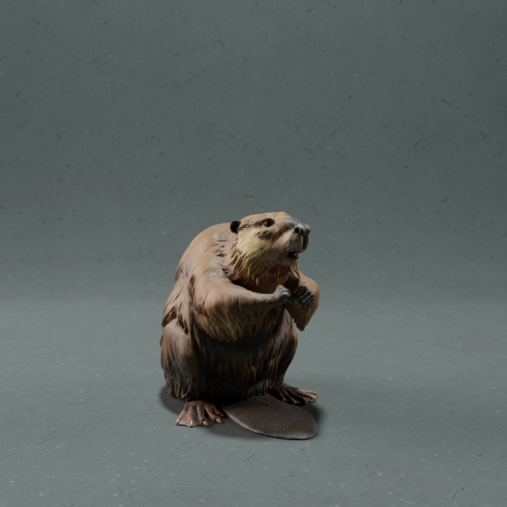 3D Printable American Beaver by Animal Den Miniatures