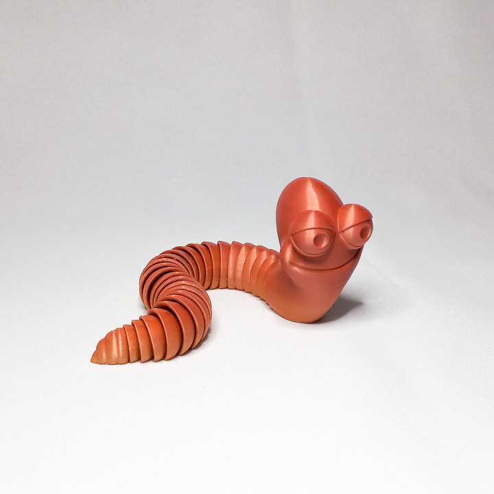 3D Printable EARTHWORM CARTOON ARTICULATED by Rogi Studios