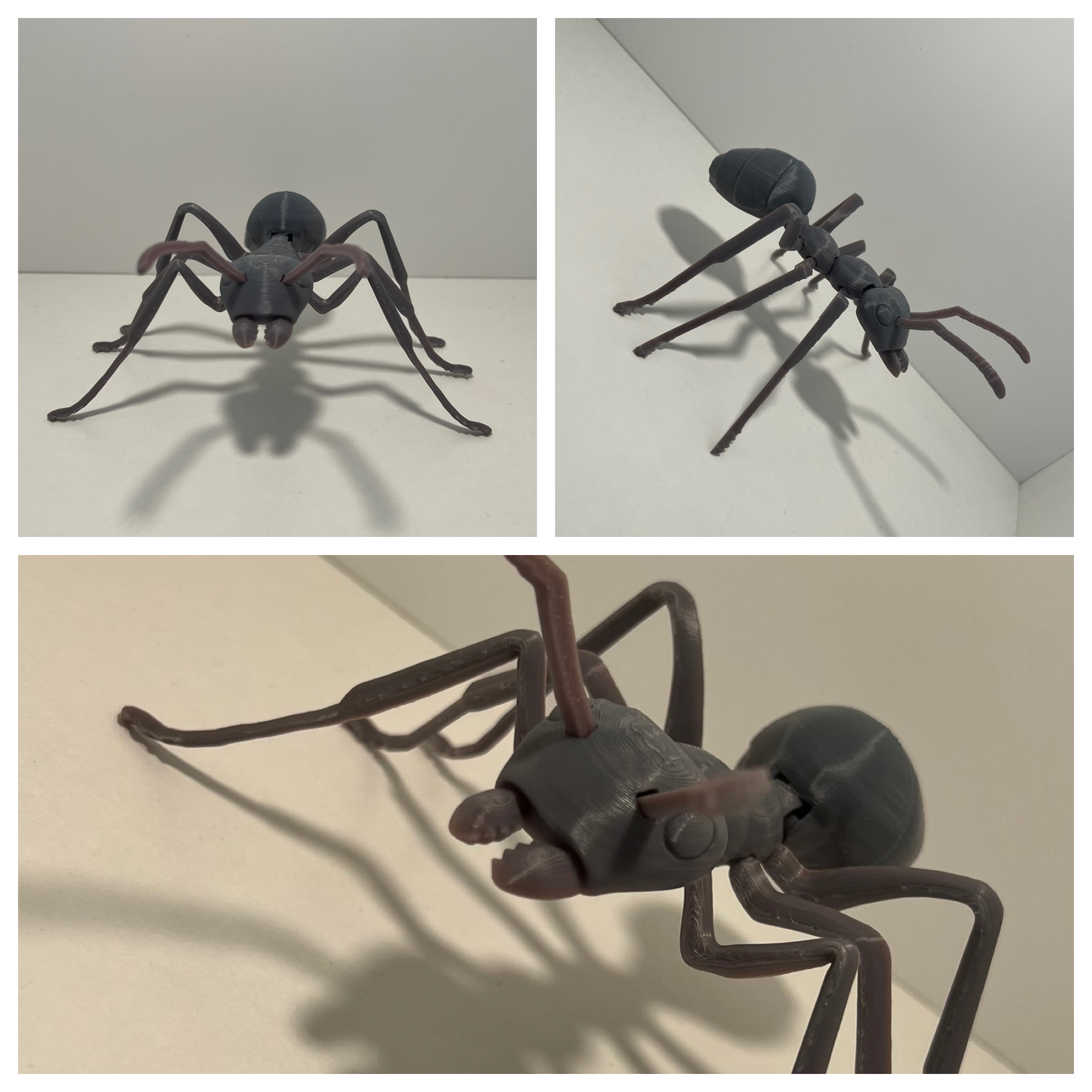 3D Printable ARTICULATED ANT by Rogi Studios