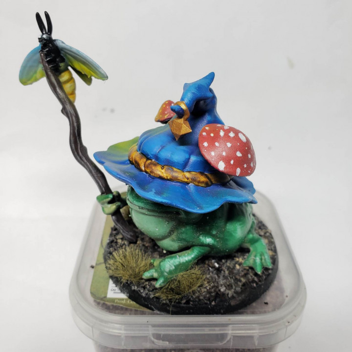 3D Print of Toad Wizard by jacksonb1