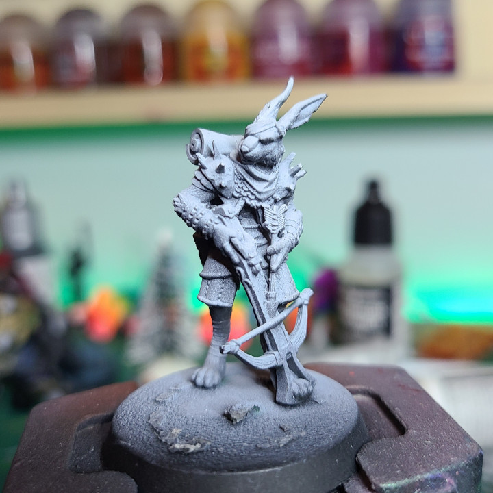 3D Print of harengon ranger by xBastion