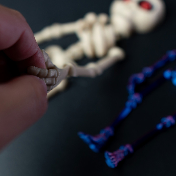 3D Printable Articulated Skeleton by Stlflix