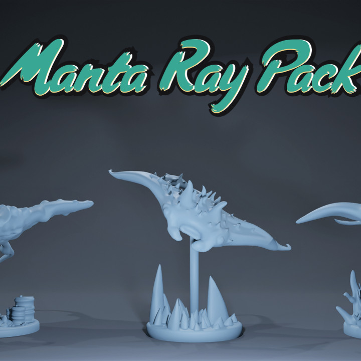 3D Printable Manta Ray pack by Liron Kol