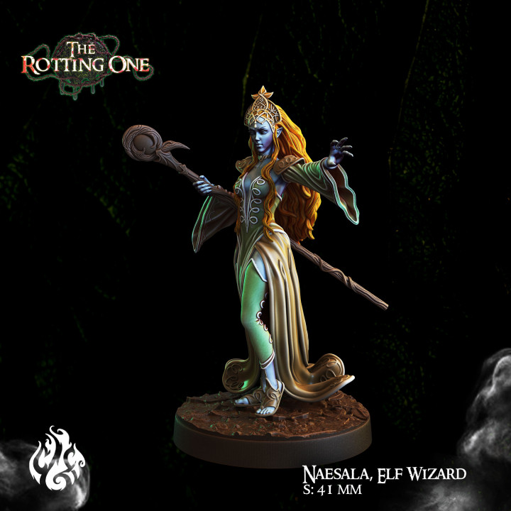 3D Printable Naesala, Elf Wizard by Crippled God Foundry